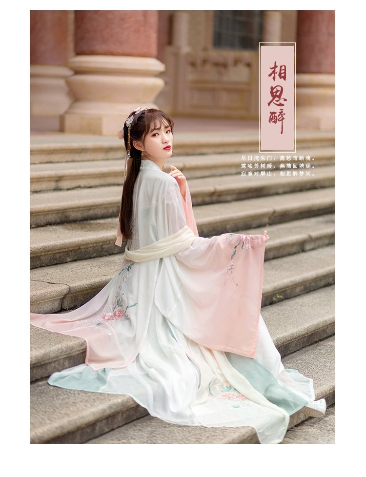 Exploring the Exquisite Diversity of Hanfu: A Comprehensive Guide to ...
